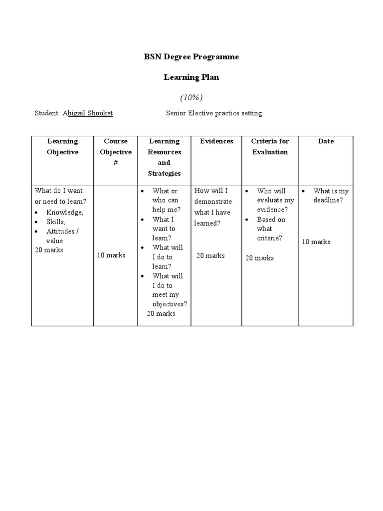Learning Plan | PDF