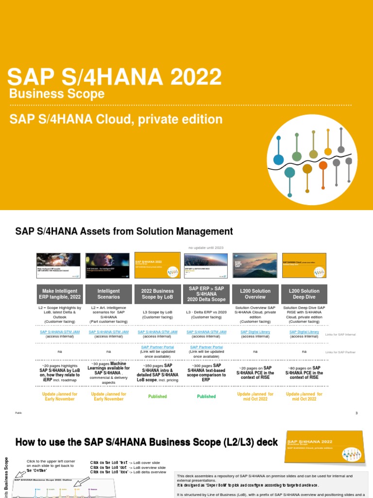 S4H 2022 Business Scope | PDF | Analytics | Cloud Computing