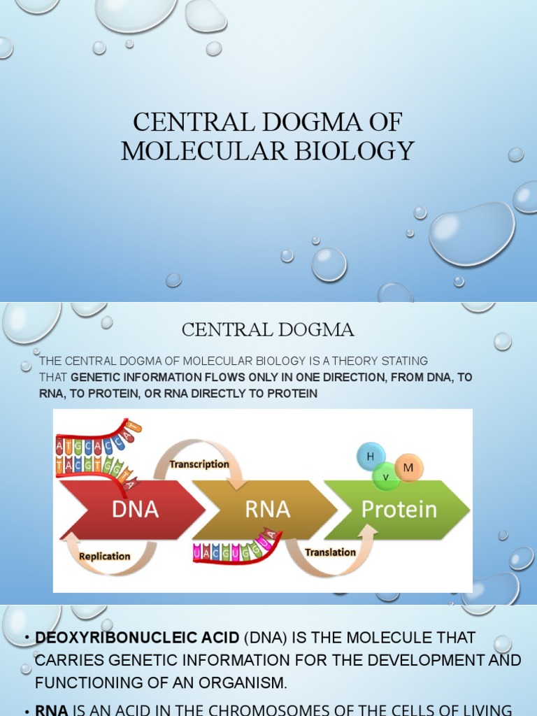 Central Dogma of Molecular Biology | PDF