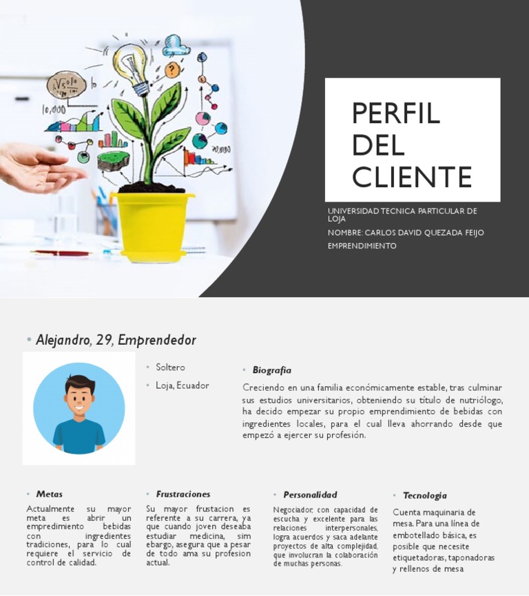 Perfil Del Cliente | PDF