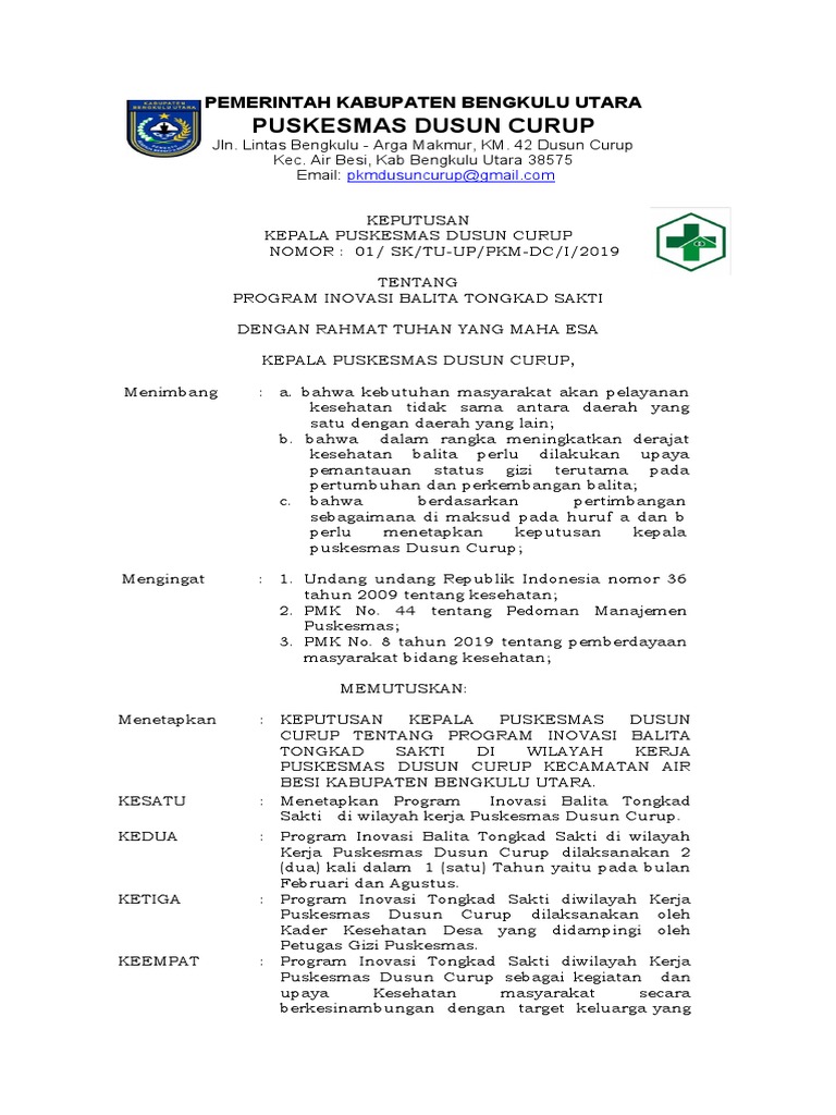 Contoh SK Program | PDF