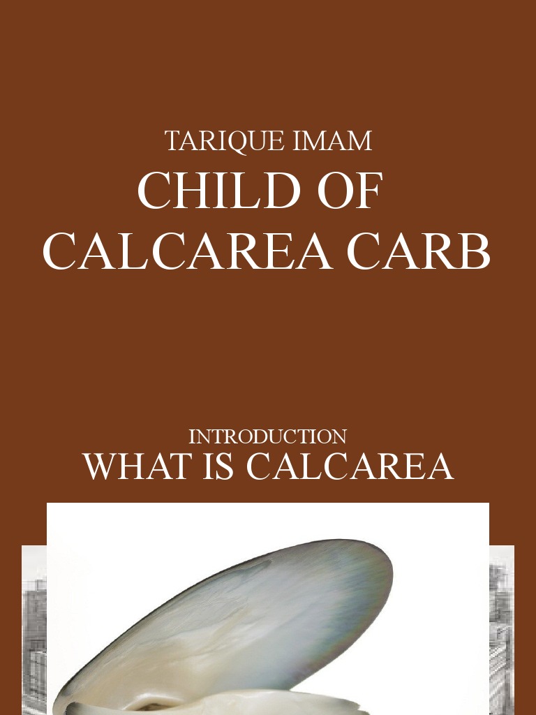 Child of Calc Carb | PDF | Mind | Anxiety