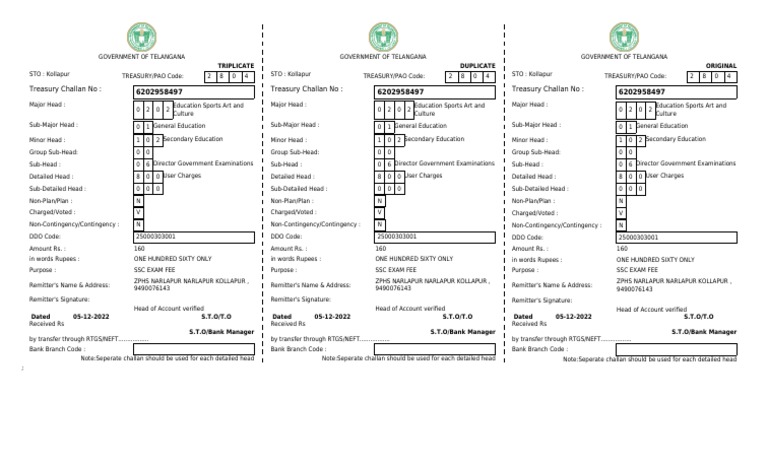 Challan 6202958497 | PDF | Banking | Financial Services