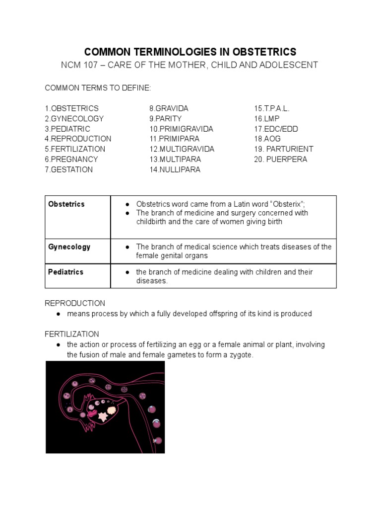Obstetrics Terminology Guide | PDF | Pregnancy | Childbirth