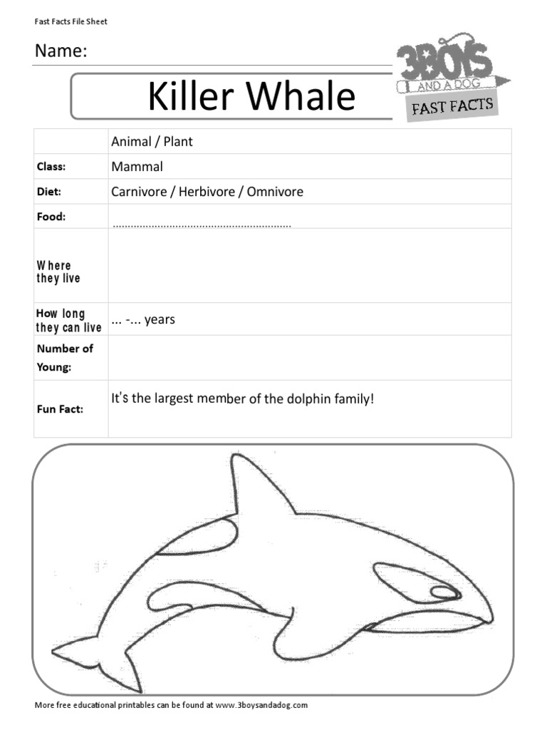 Ocean Animal Fast Facts Sheet | PDF | Habitat | Sea