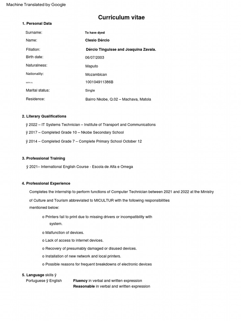Machine Translated Curriculum Vitae Seeking Employment as an IT Systems Technician | PDF | Computing
