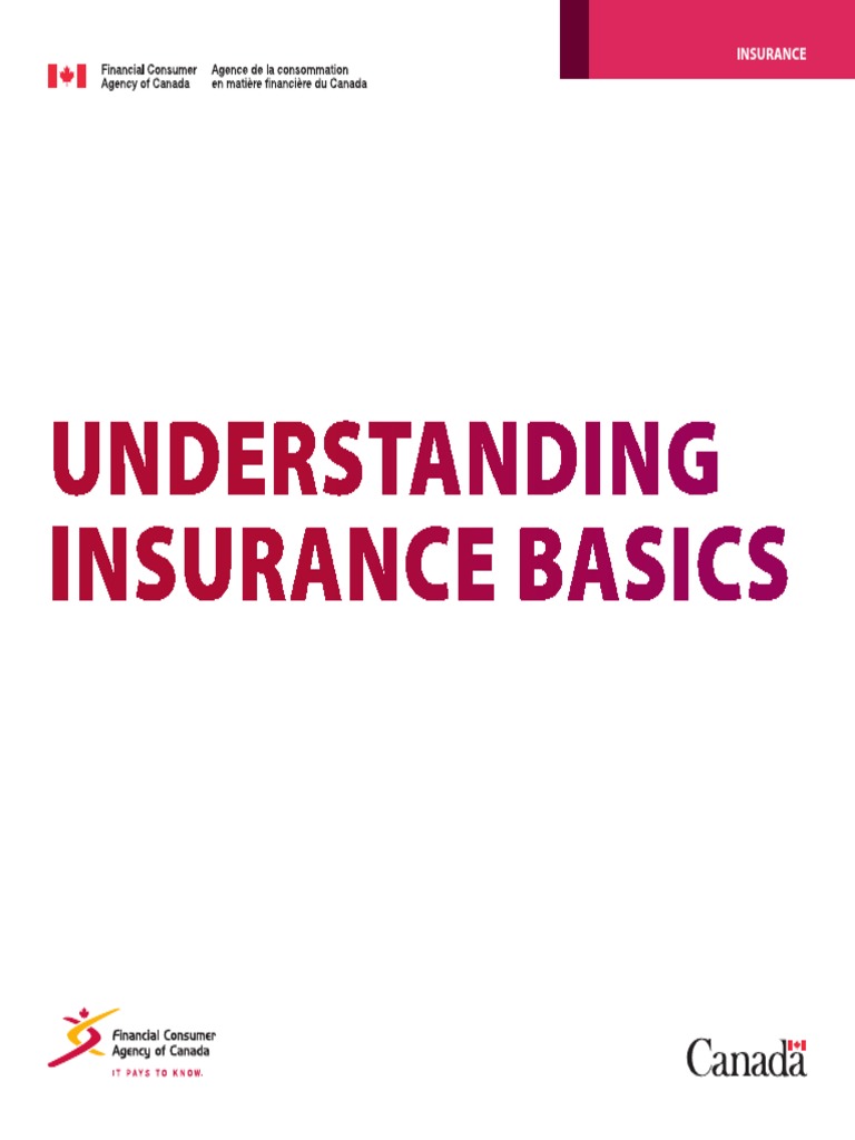 Understanding Insurance Basics | PDF | Insurance | Vehicle Insurance
