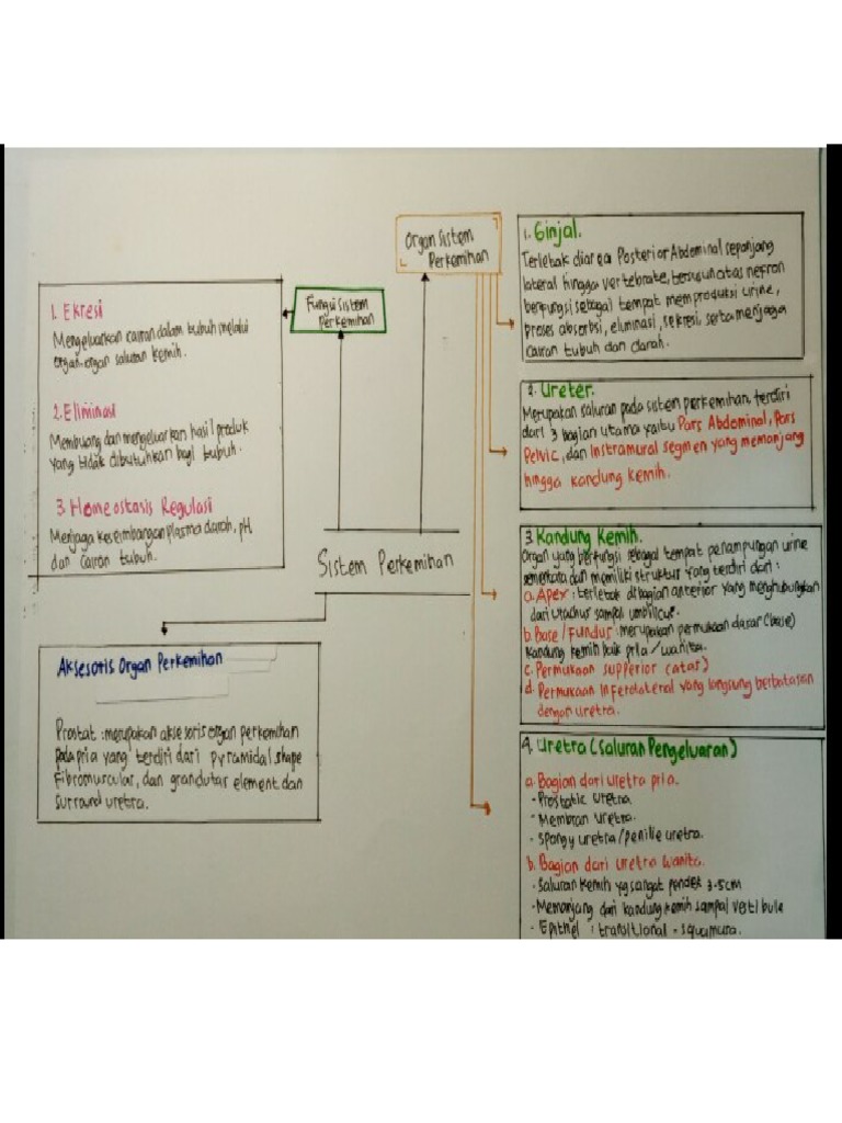 Mind Map Askep CKD | PDF