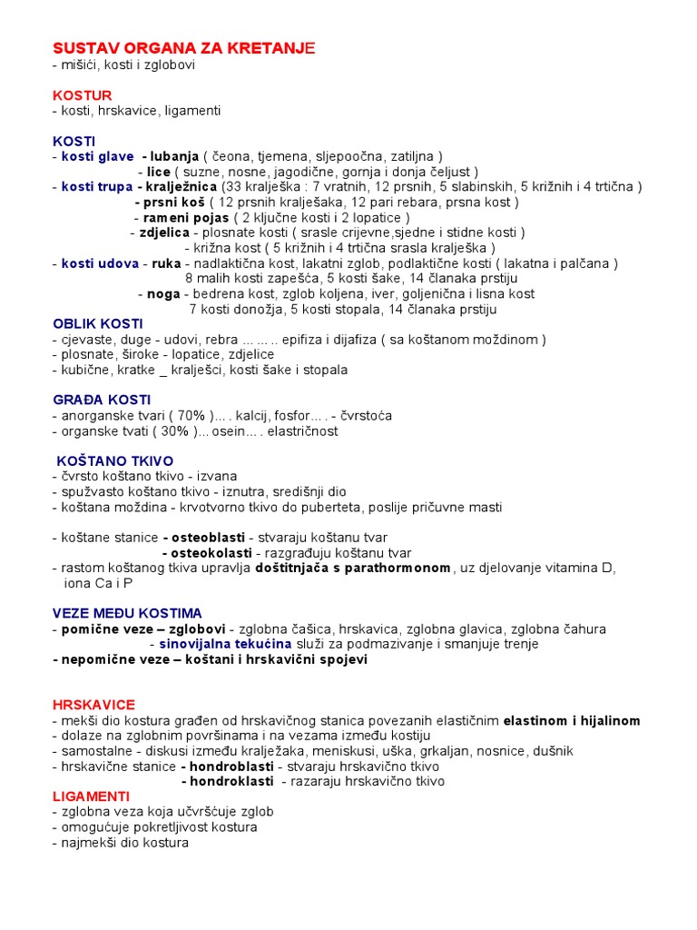 Sustav Organa Za Kretanje - Kostur | PDF