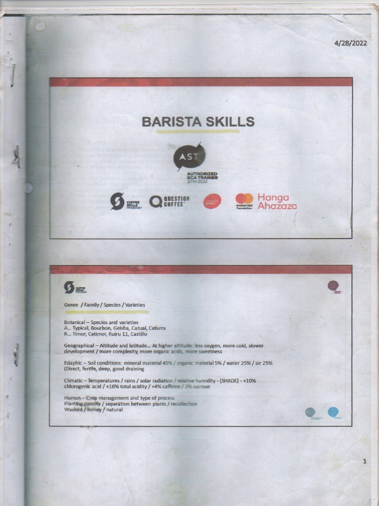 Barista Skills | PDF