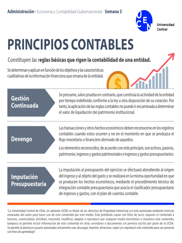 Principios Contables | PDF | Contabilidad | Business