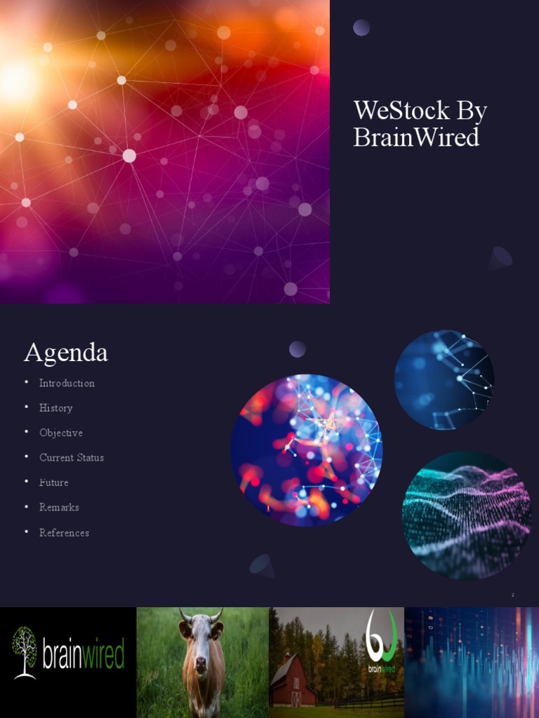 WeStock by BrainWired | PDF