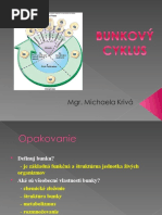 Ramcova Uctova Osnova | PDF