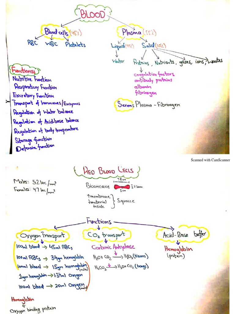Blood Physiology..medical Gateways | PDF