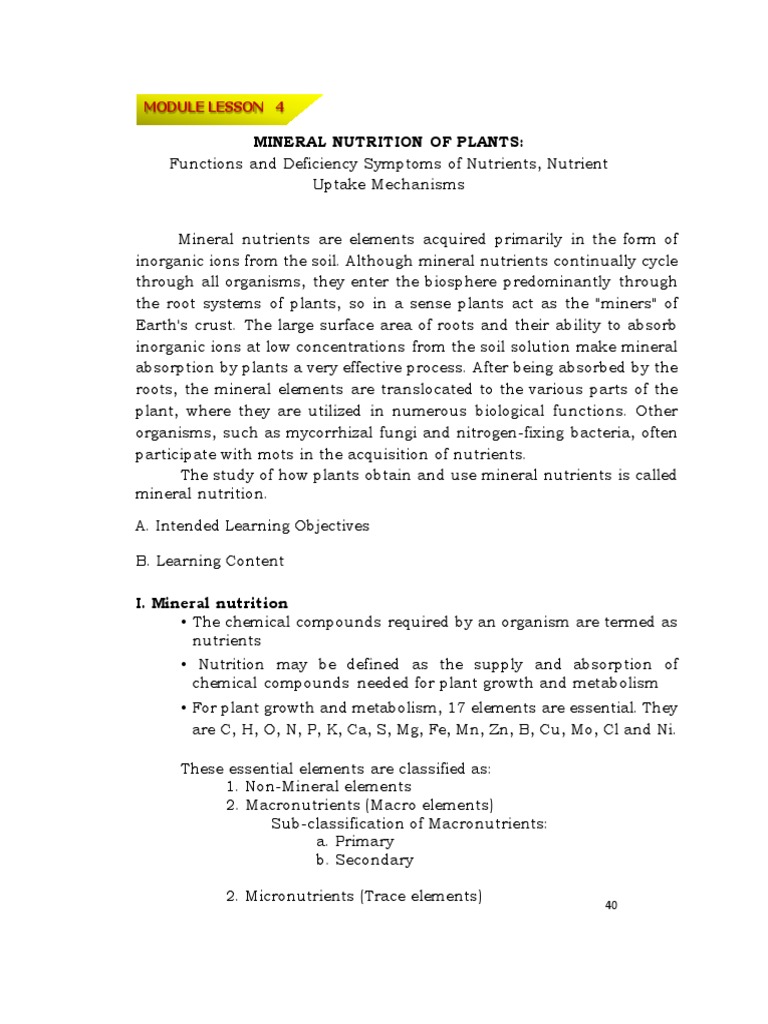 Plant Nutrition Module Lesson 4 | PDF | Nutrients | Cell Membrane
