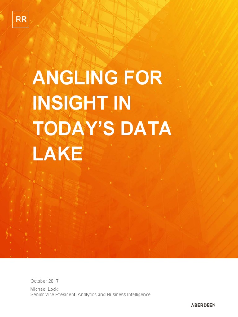 Aberdeen Research - Angling For Insights in Today's Data Lake | PDF ...