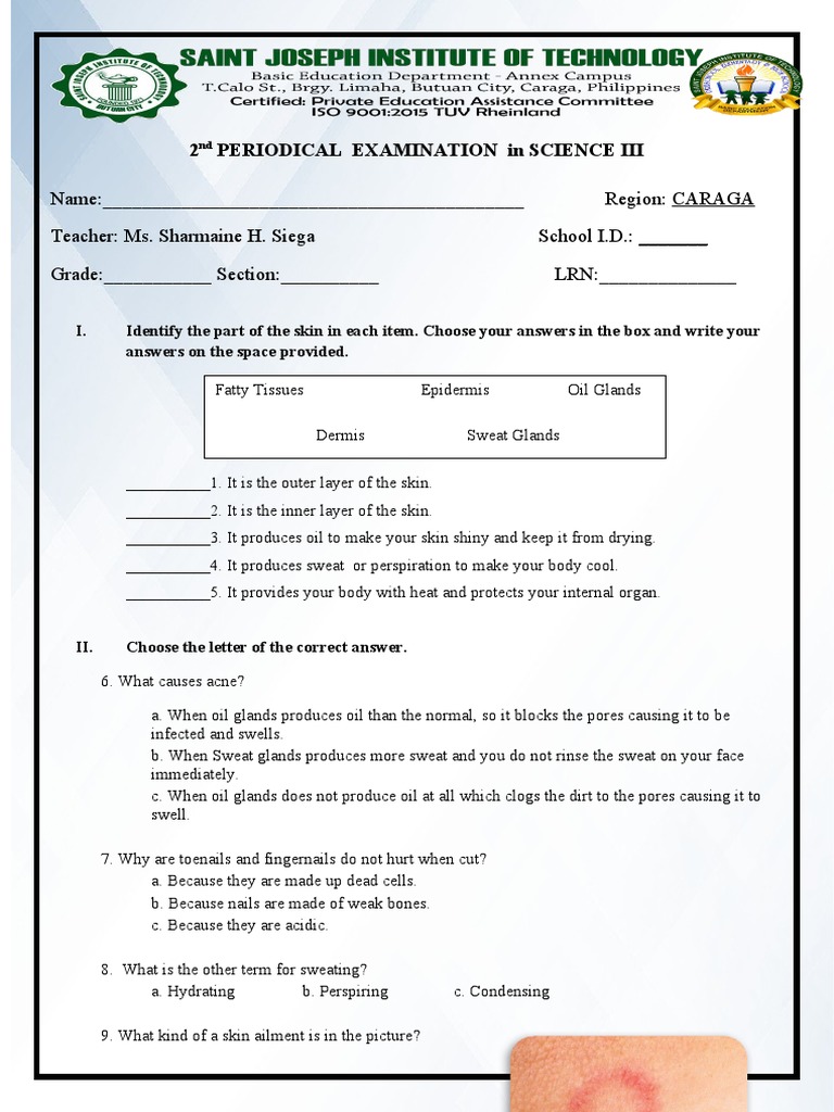 Grade 3 Periodical Examination | PDF | Skin | Nail (Anatomy)