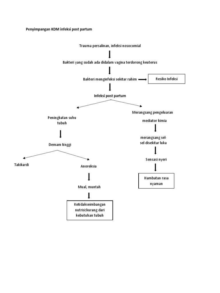 Penyimpangan KDM Infeksi Post Partum | PDF