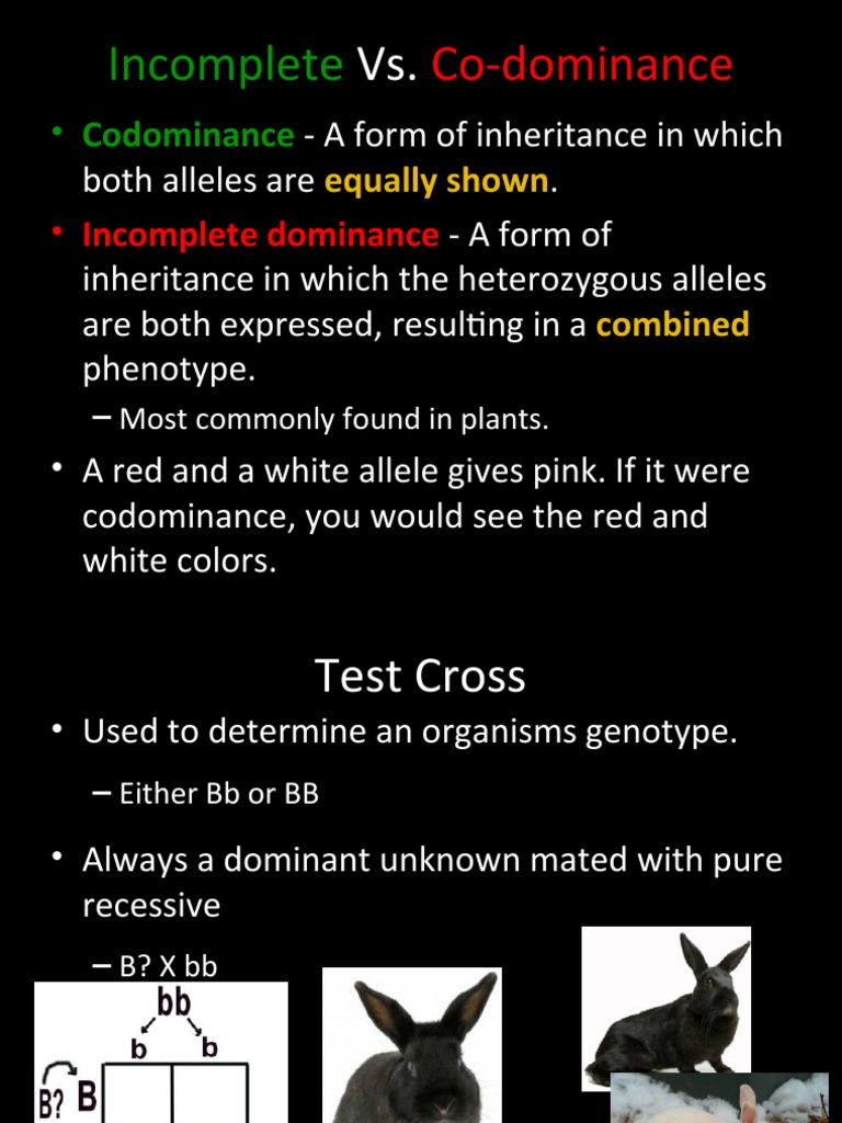 Understanding Genetic Inheritance: A Comprehensive Guide to Autosomal and Sex-Linked Traits ...