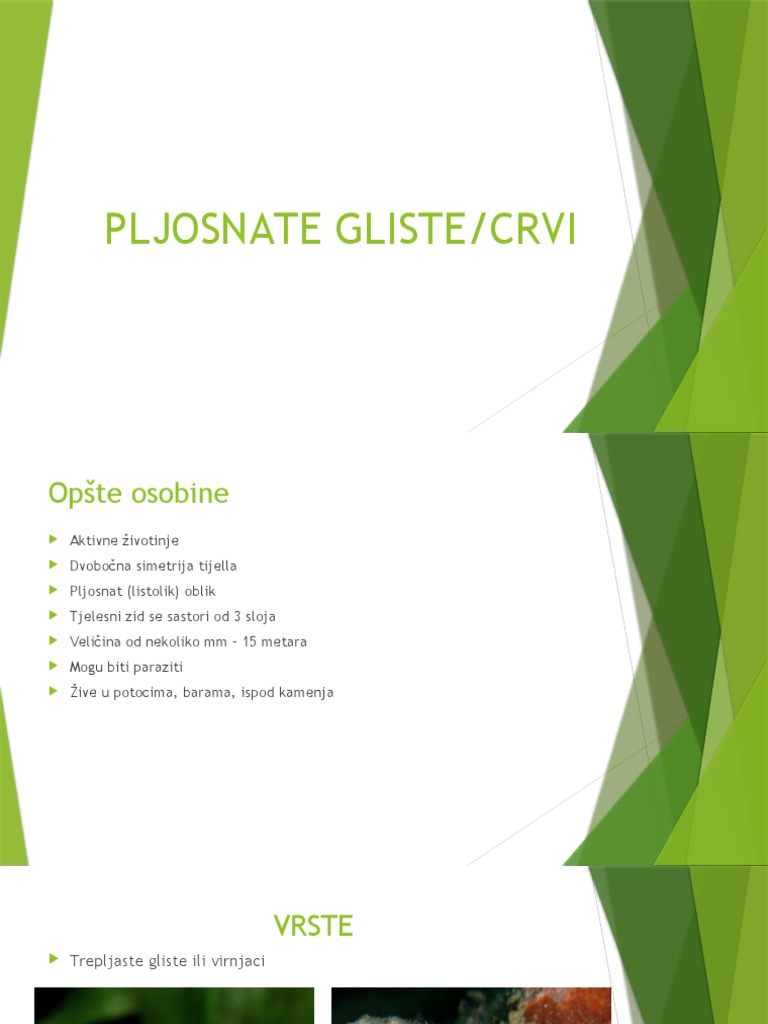 Pljosnate Gliste | PDF