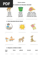 Evaluare Initiala CLR Cls I | PDF