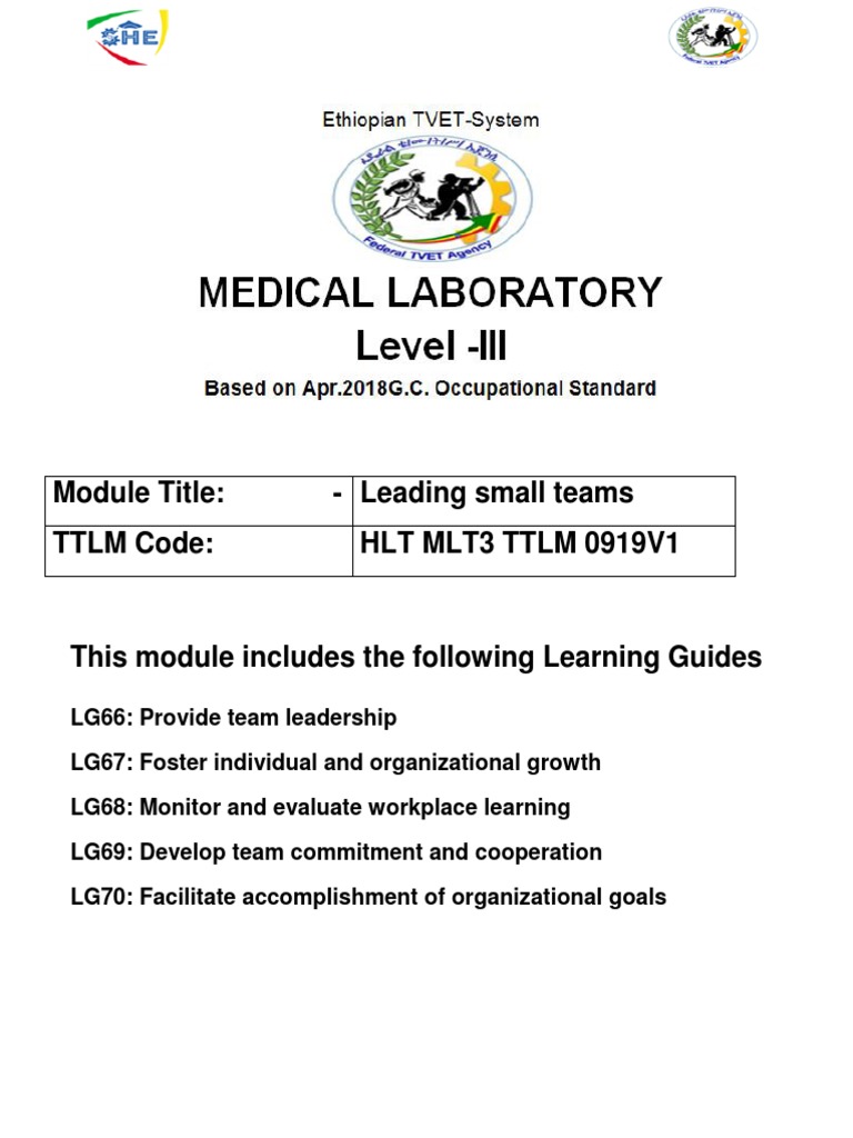 14 MDL | PDF | Leadership | Learning