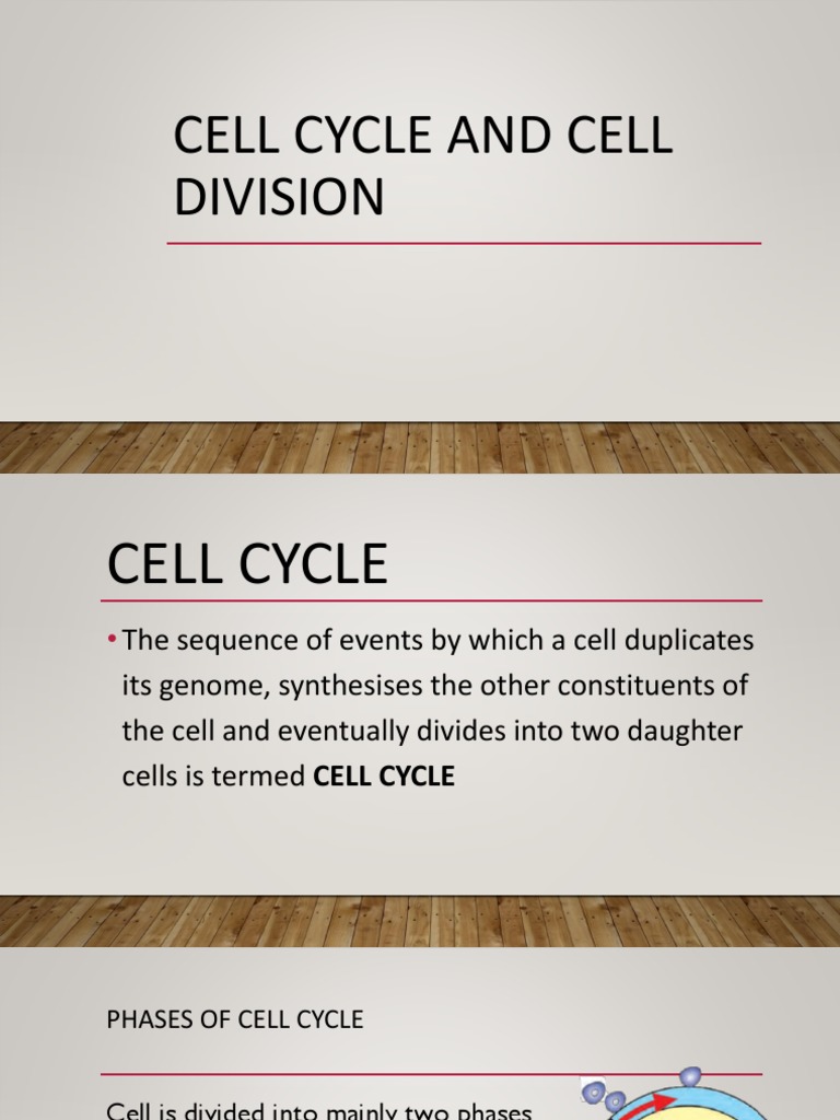 Cell Division and Cell Cycle | PDF | Mitosis | Cell Cycle