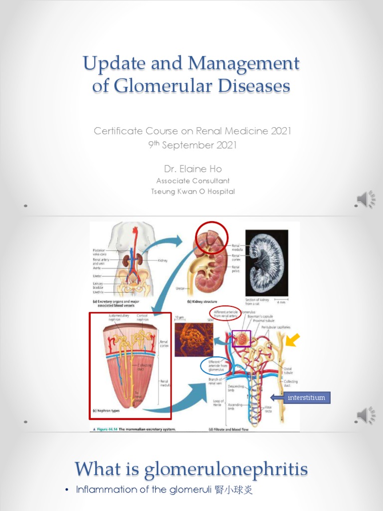 C370 Lecture 2 Lecture Notes Part 2 | PDF | Kidney Disease | Nephrology C370 Lecture 2 Lecture Notes Part 2 | PDF | Kidney Disease | Nephrology