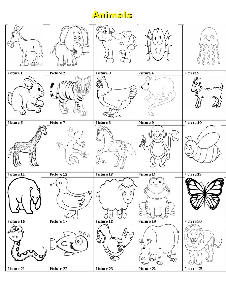 Starters Animals | PDF | Organisms