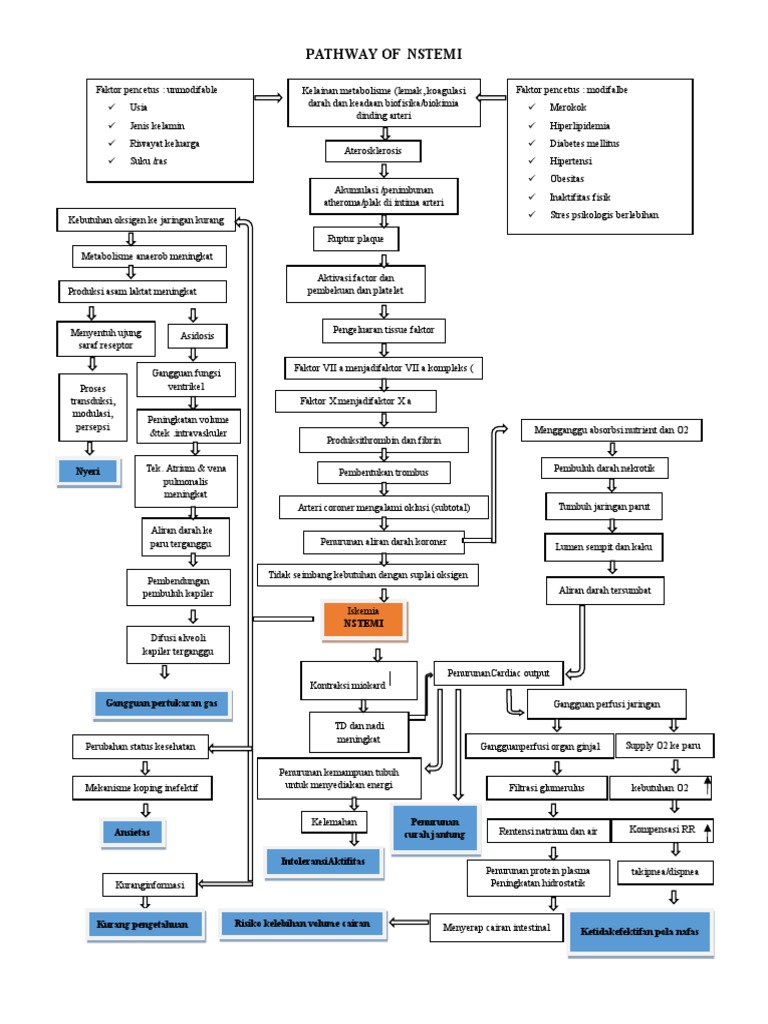 Jalur Patofisiologi NSTEMI | PDF