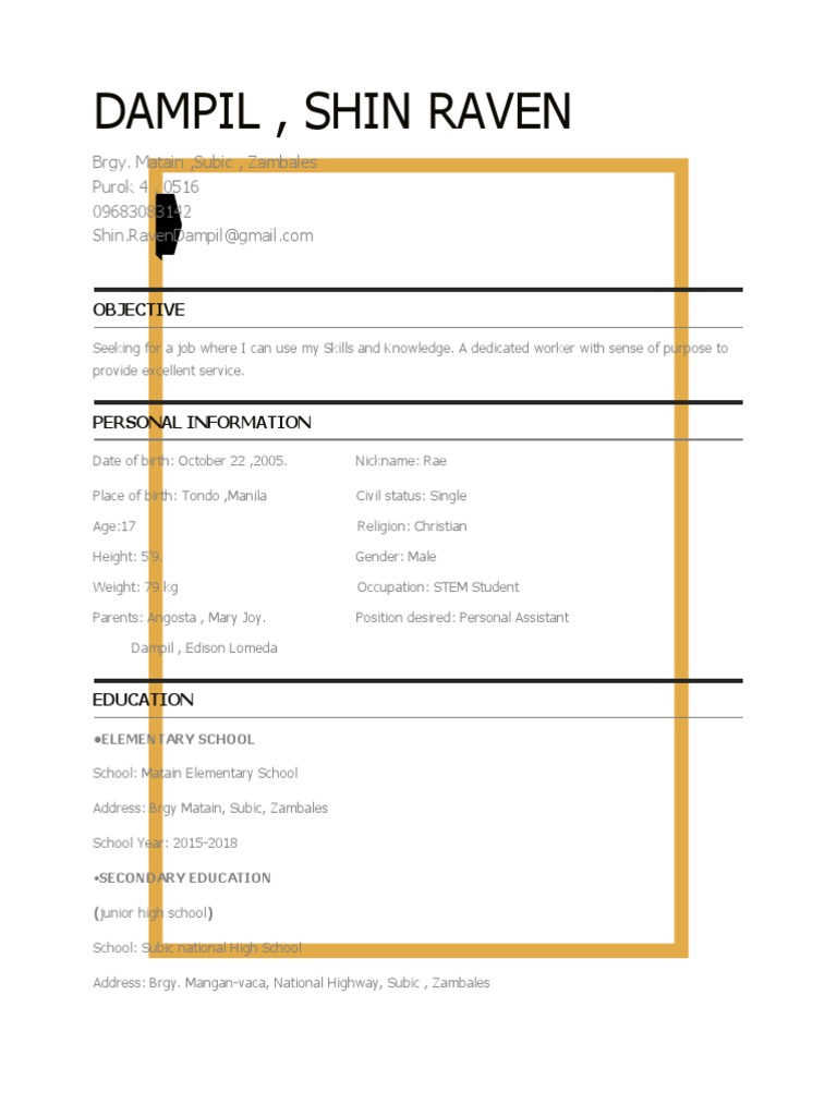 Job Application: Shin Raven Dampil | PDF