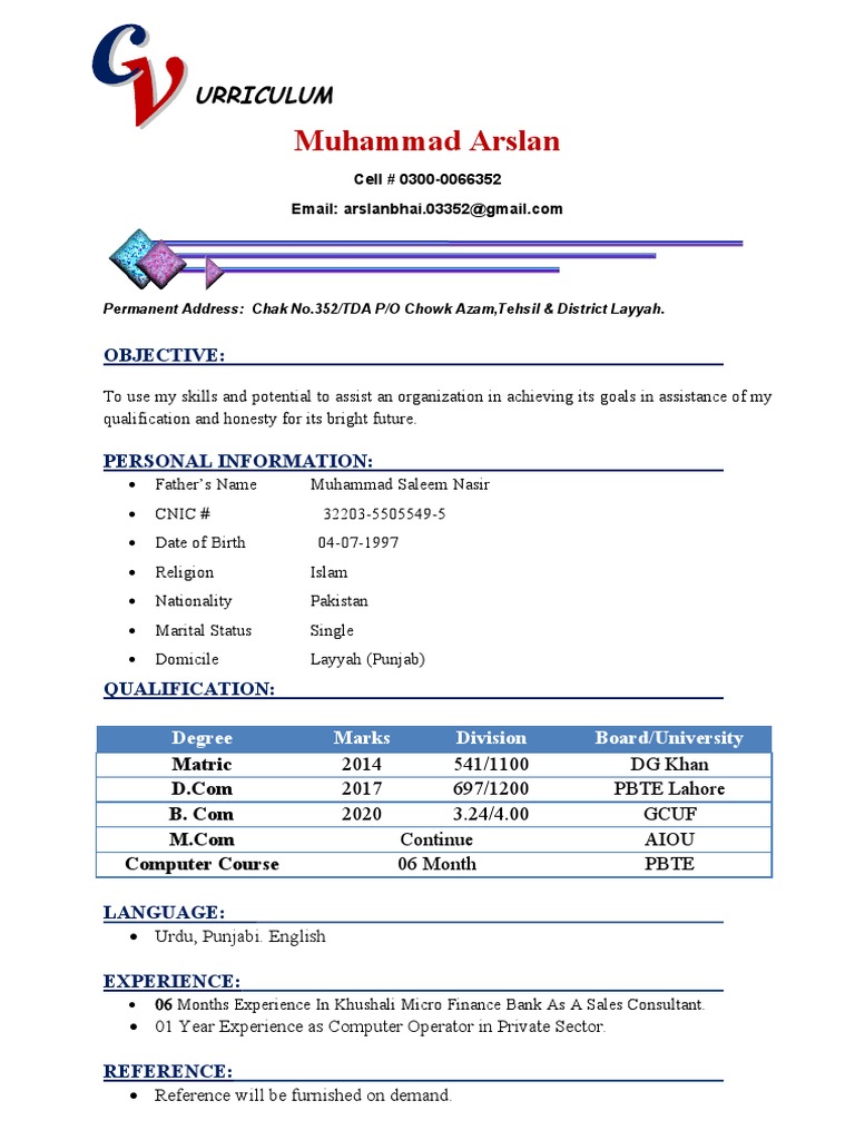 Muhammad Arslan CV 1 | PDF