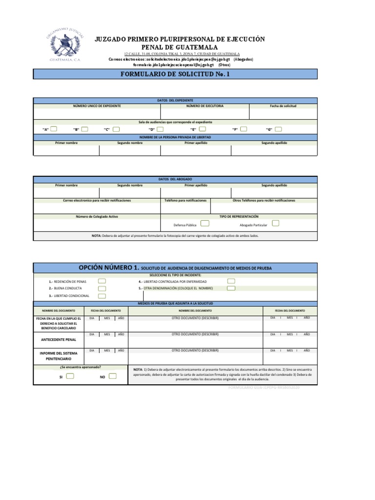 Formulario Juzgado Ejecución Penal | PDF | Gobierno | Justicia