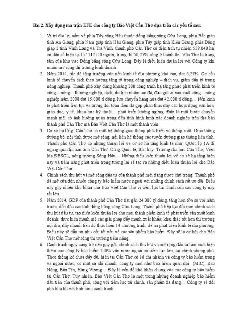 Bài tập 2- EFE Matrix | PDF