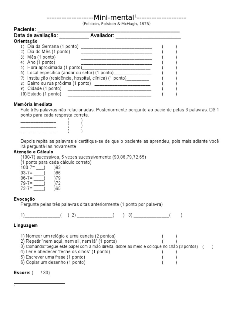 Mini Mental