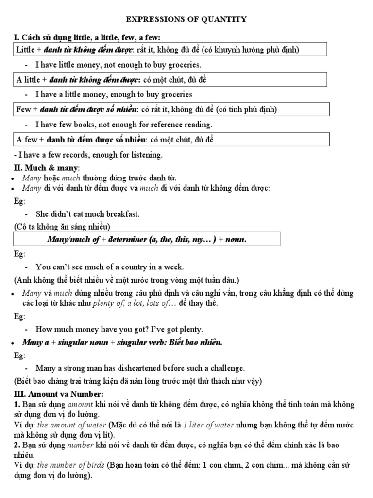 Ly Thuyet - Expressions of Quantity | PDF