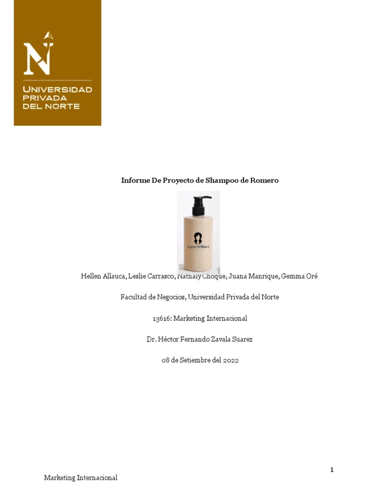 Informe Final Marketing | PDF | Marketing | Publicidad