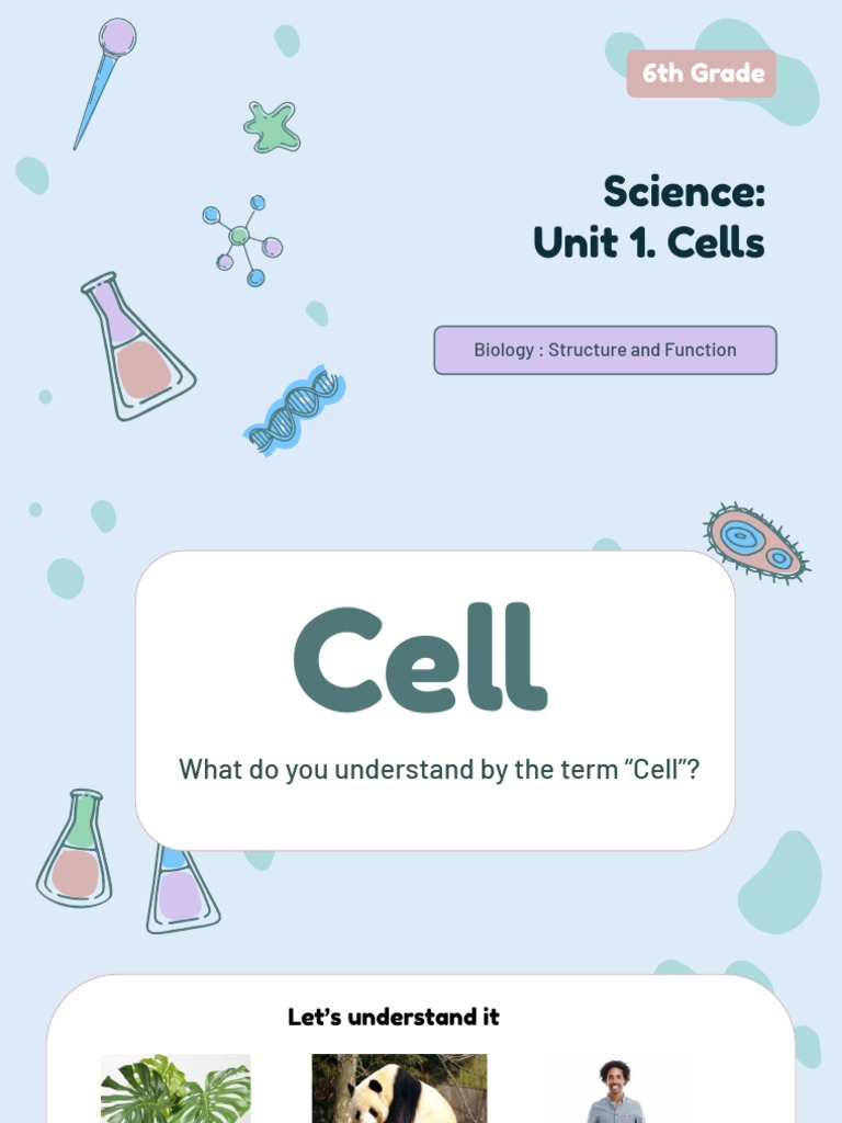 Science: Unit 1. Cells: 6th Grade | PDF | Cell (Biology) | Chloroplast