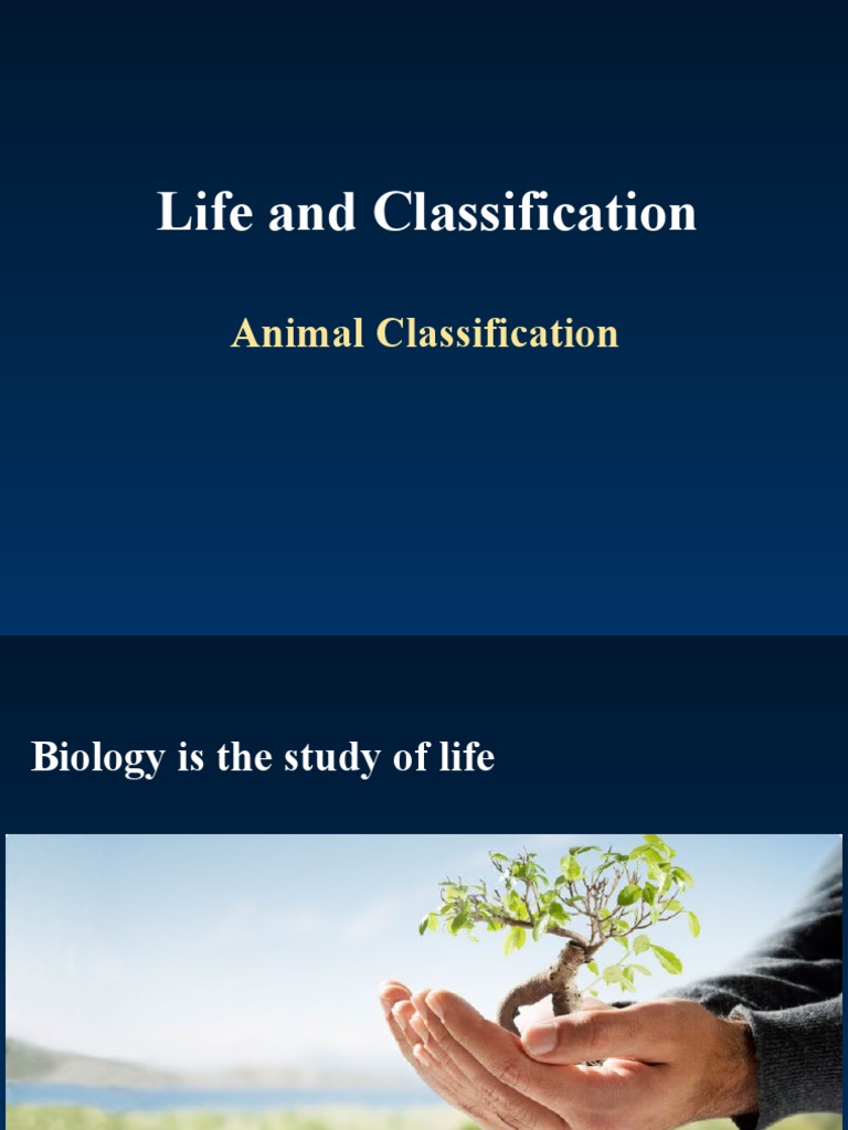 Introduction - Clasification - 5 Sept | Download Free PDF | Biological ... Introduction - Clasification - 5 Sept | Download Free PDF | Biological ...