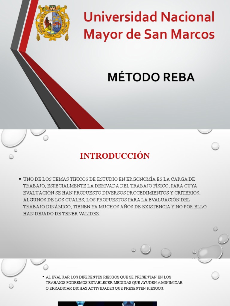 Metodo REBA | PDF