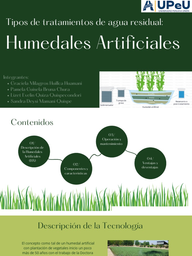 Humedales Artificiales, Trabajo de Exposición | PDF | Naturaleza | Química