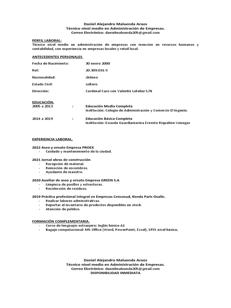 Formato CV 2021 | PDF