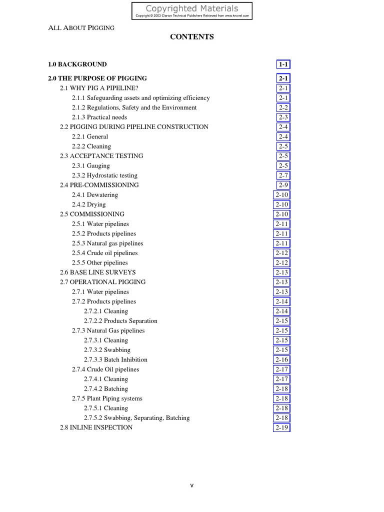 Comprehensive Guide to Pipeline Pigging | PDF | Pipeline Transport | Gases