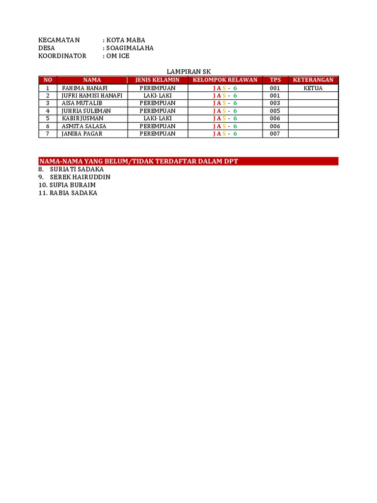 Contoh Rekapan Relawan | PDF