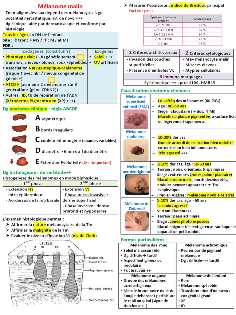 Comprendre le mélanome malin : diagnostic et traitement | PDF ...