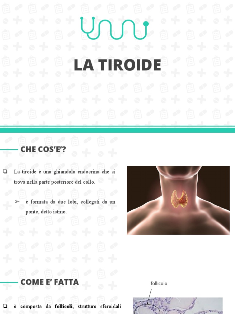 Tiroide 2 | PDF