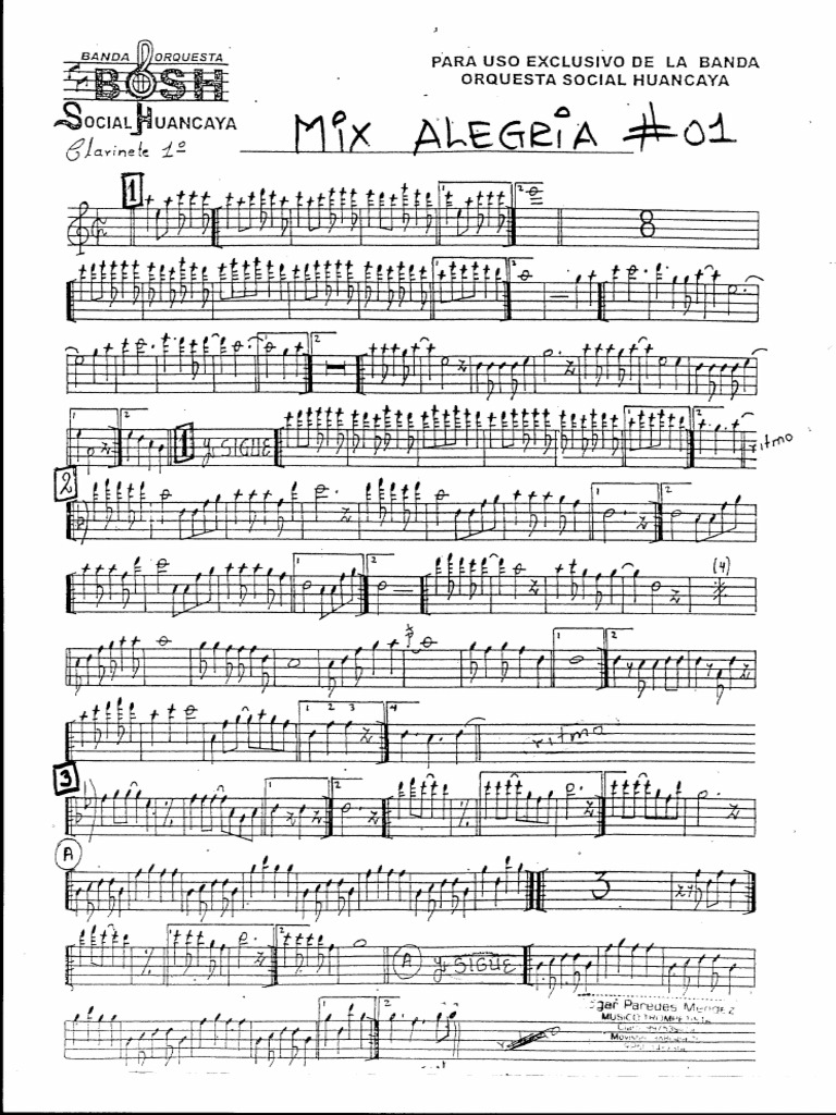 CHICHA MIX ALEGRIA 1 Scaner-1-1 | PDF