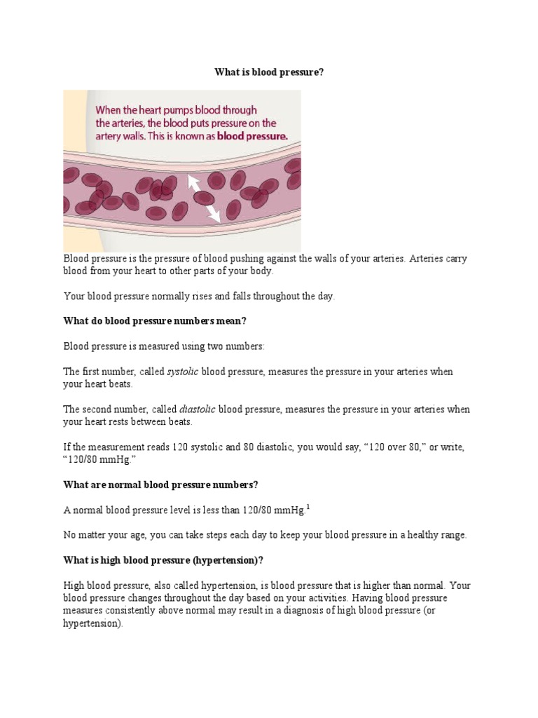Blood Pressure Pdf Blood Pressure Hypertension