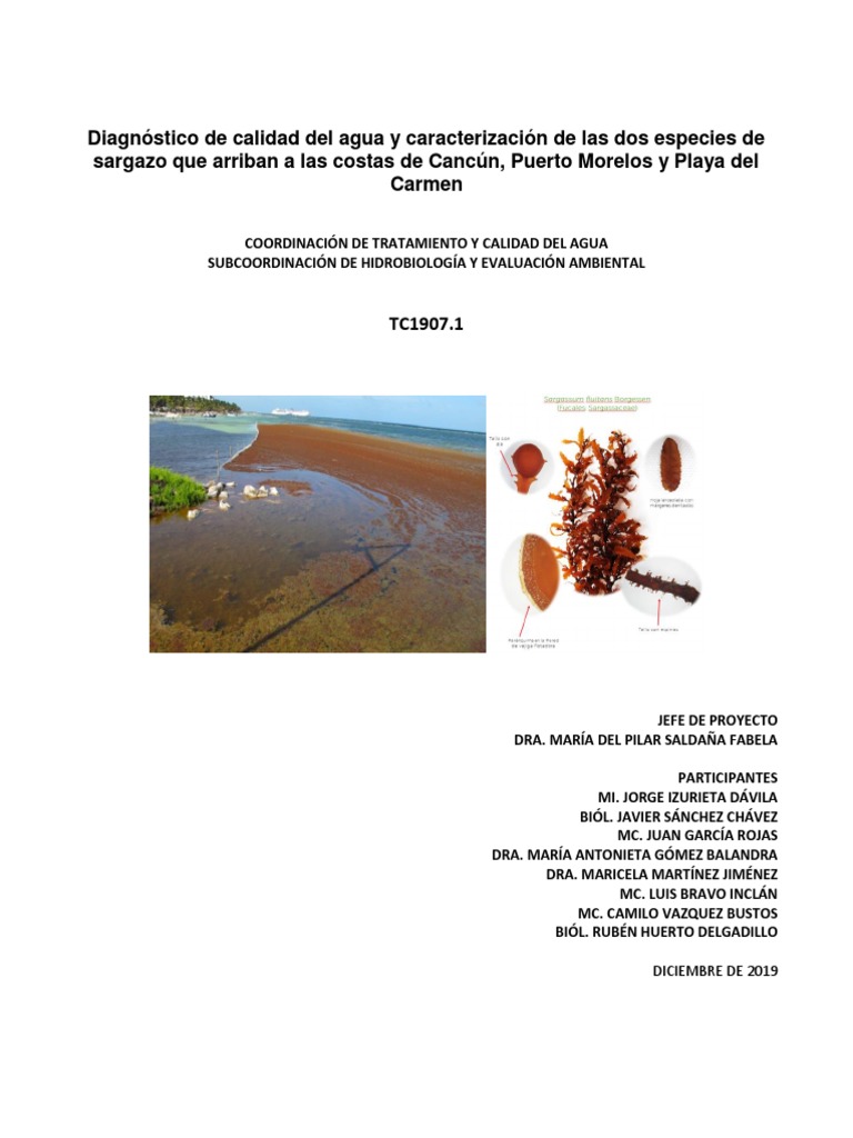 Sargazo SEMARNAT - IMTA | PDF | México