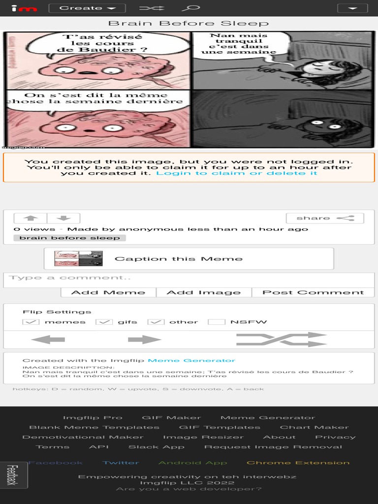 Brain Before Sleep Imgflip Pdf